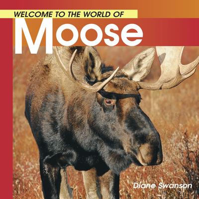 Welcome to the World of Moose – OP Media Group