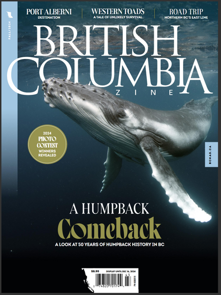 BC Magazine Fall 2024 *Digital Edition* – OP Media Group